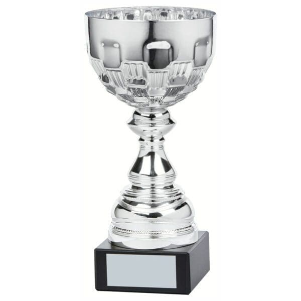 Silver Bowl Trophy - Roger Brown Trophies & Engraving